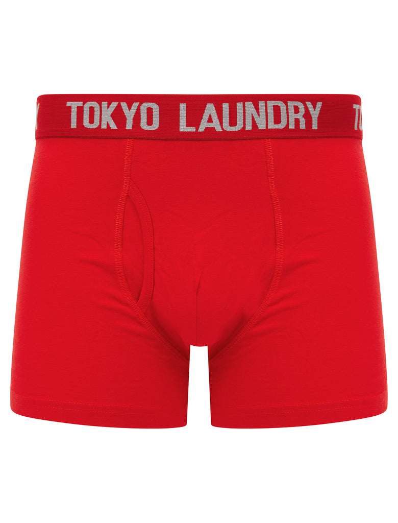 Tower 2 (2 Pack) Boxer Shorts Set in Mars Red / Light Grey Marl - Toky – Tokyo Laundry