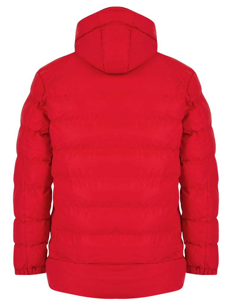 Yorkshire 2 Quilted Puffer Coat with Hood in Barados Cherry - Tokyo La ...