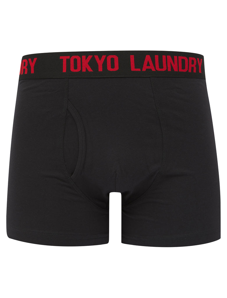 Harland (2 Pack) Boxer Shorts Set in Barados Cherry / Golden Poppy - T ...