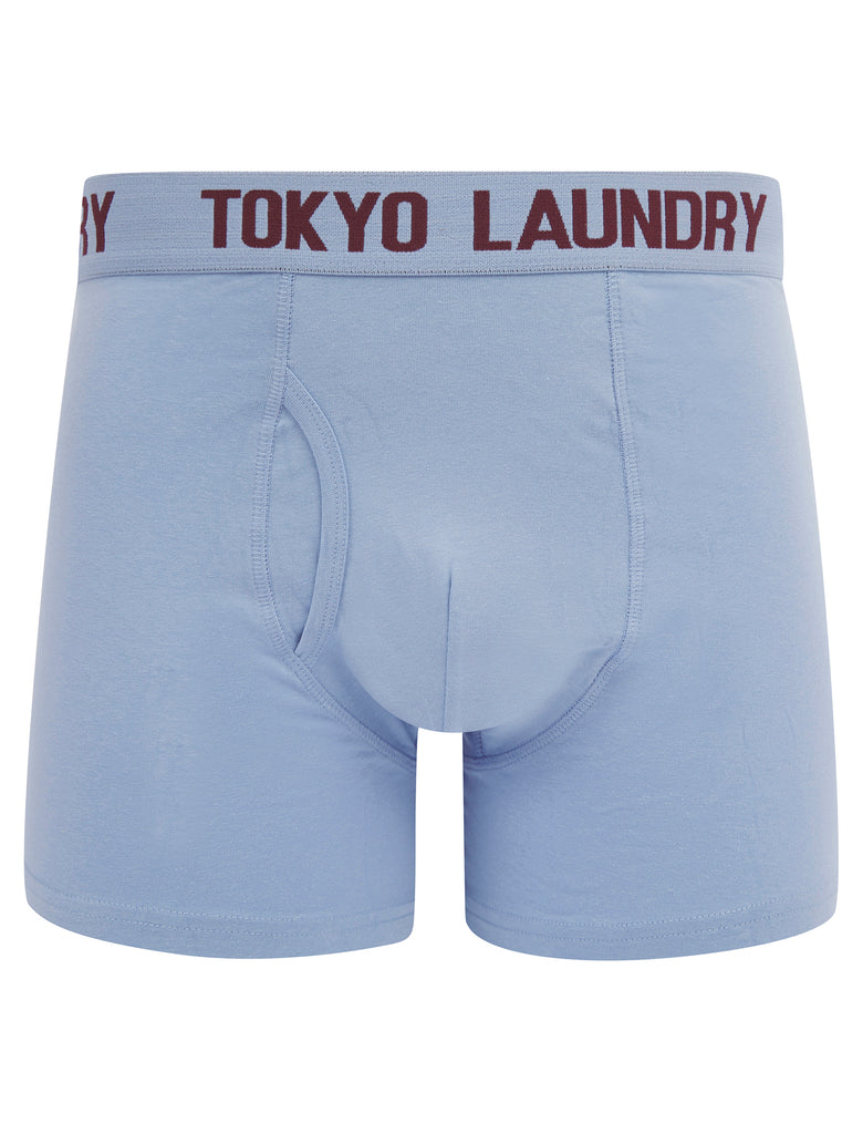 Hillside (2 Pack) Boxer Shorts Set in Heron Blue / Fig - Tokyo Laundry