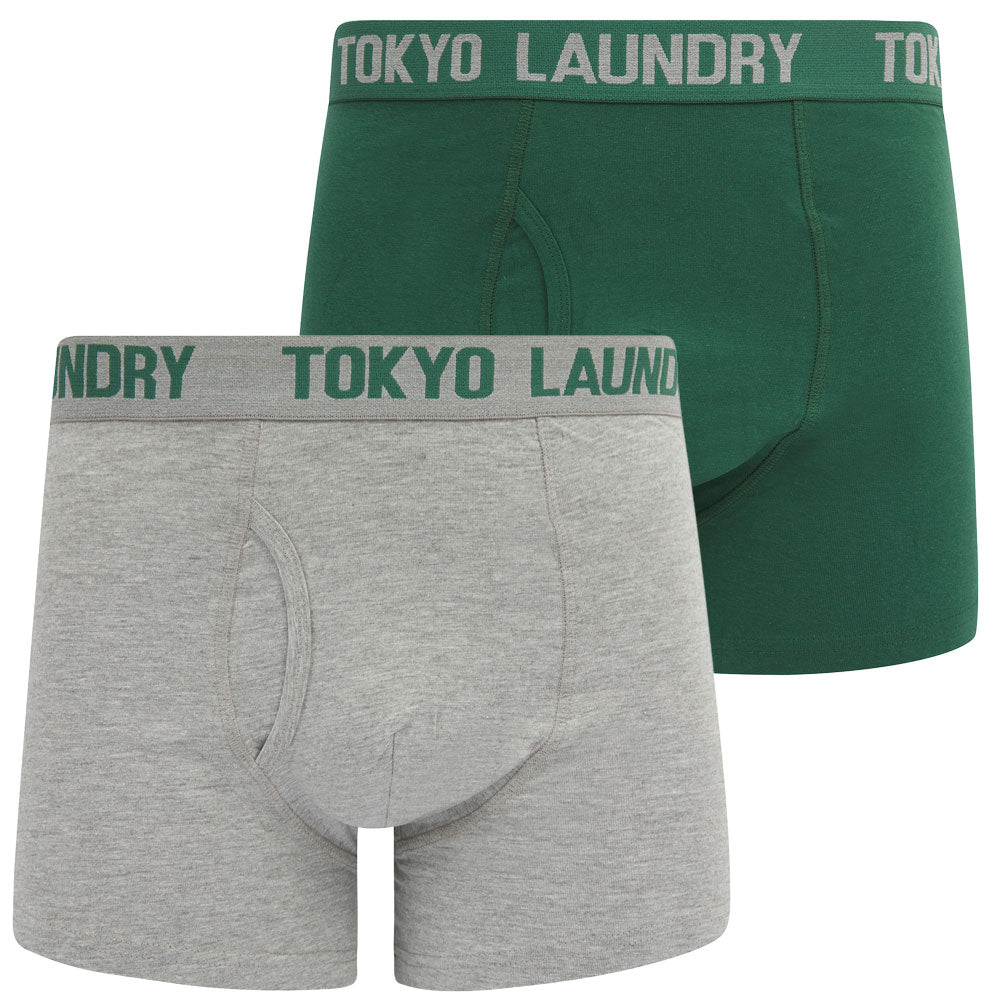 Hillside (2 Pack) Boxer Shorts Set in Posy Green / Light Grey Marl - T ...