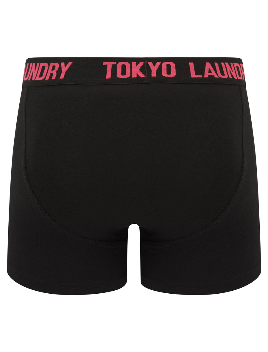 Walkers 2 (2 Pack) Boxer Shorts Set in Princess Blue / Raspberry - Tok ...