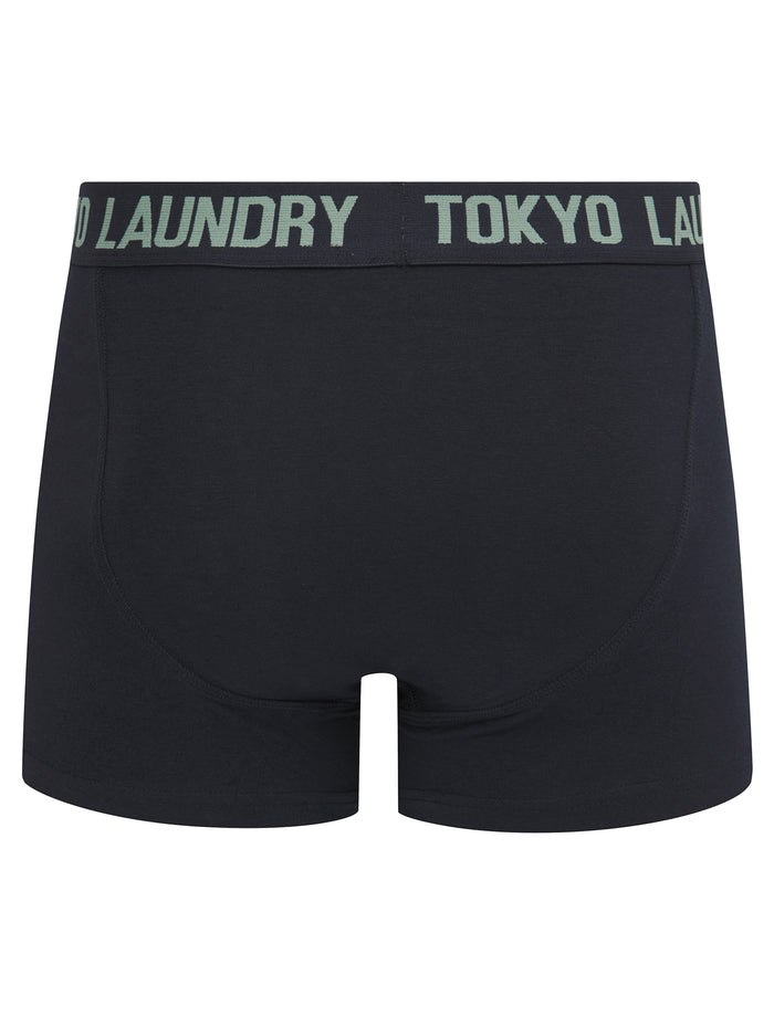 Hillside 2 (2 Pack) Boxer Shorts Set in Chinois Green / Sky Captain Na ...