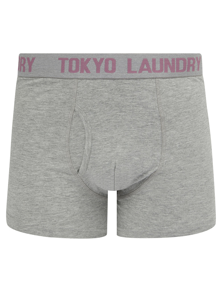 Hillside 2 (2 Pack) Boxer Shorts Set in Light Grey Marl / Grapeade - T ...