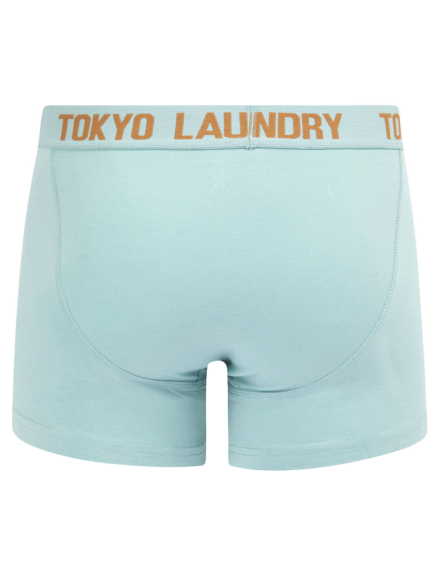 Hillside 2 (2 Pack) Boxer Shorts Set in Thrush Brown / Forget Me Not B ...