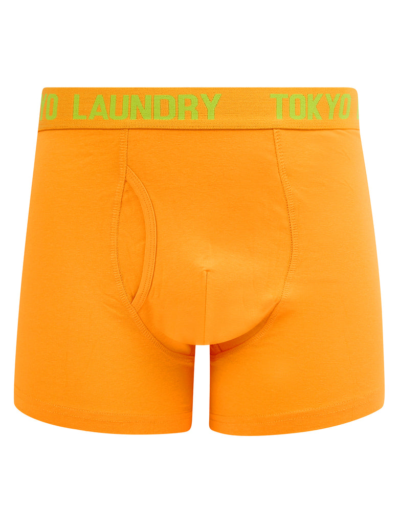 Hillside 3 (2 Pack) Boxer Shorts Set in Mock Orange / Opaline Green ...