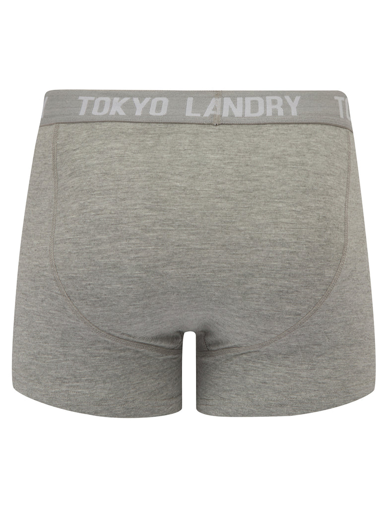 Jax (5 Pack) Cotton Boxer Shorts Set in Black / Grey / White - Tokyo L ...