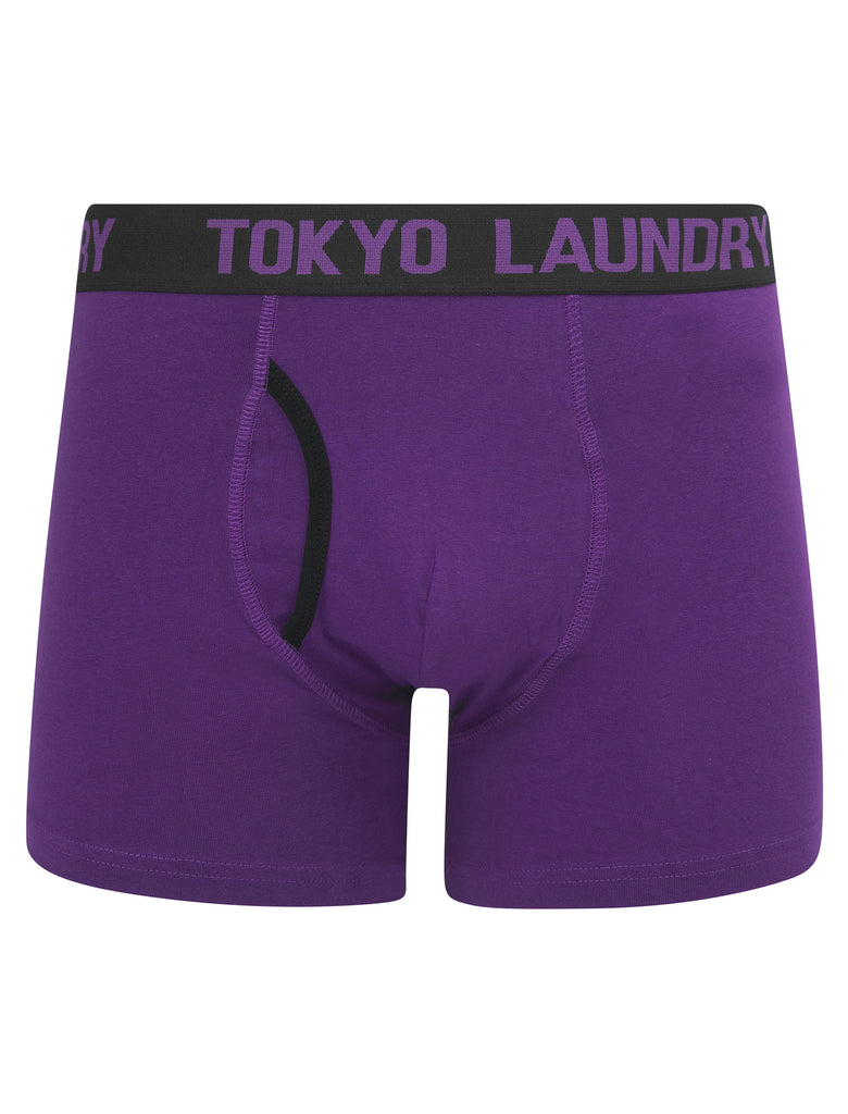 Kyro (2 Pack) Boxer Shorts Set in Sky Captain Navy / Plum Jam - Tokyo ...