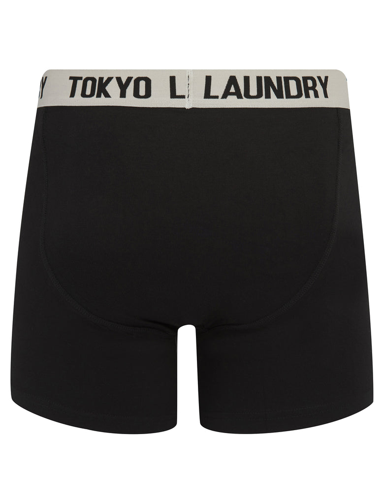 Jack (2 Pack) Long Length Boxer Shorts Set in Jet Stream White / Quiet ...