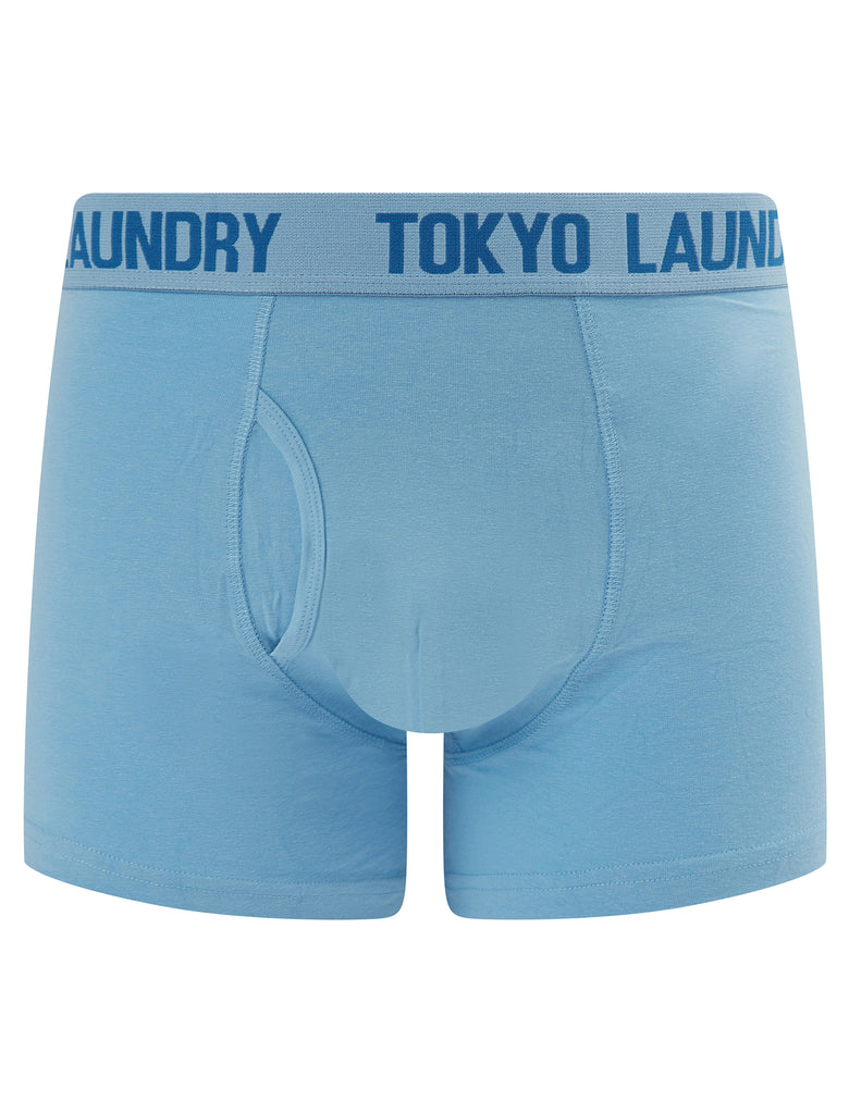 Whiston 2 (2 Pack) Boxer Shorts Set in Frozen Fjord / Nebulas Blue - T ...