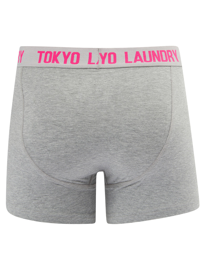 Whiston 2 (2 Pack) Boxer Shorts Set in Light Grey Marl / Fuchsia Pink ...