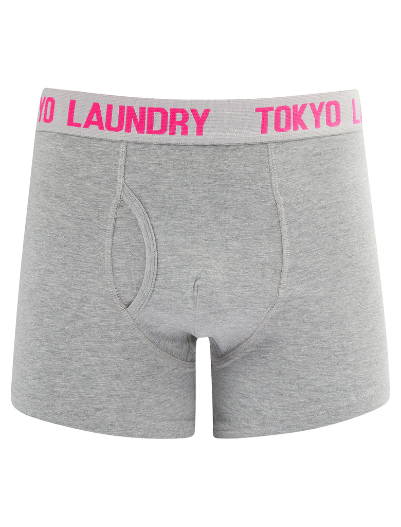 Whiston 2 (2 Pack) Boxer Shorts Set in Light Grey Marl / Fuchsia Pink ...