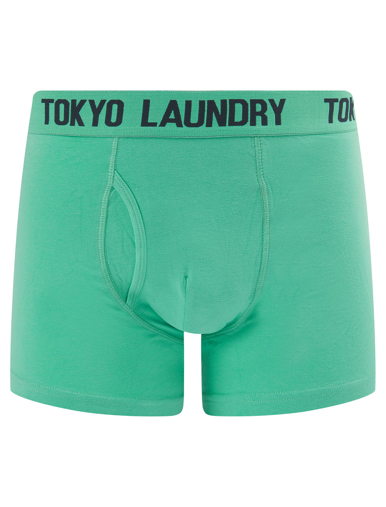 Whiston 2 (2 Pack) Boxer Shorts Set in Pool Blue / Sky Captain Navy ...