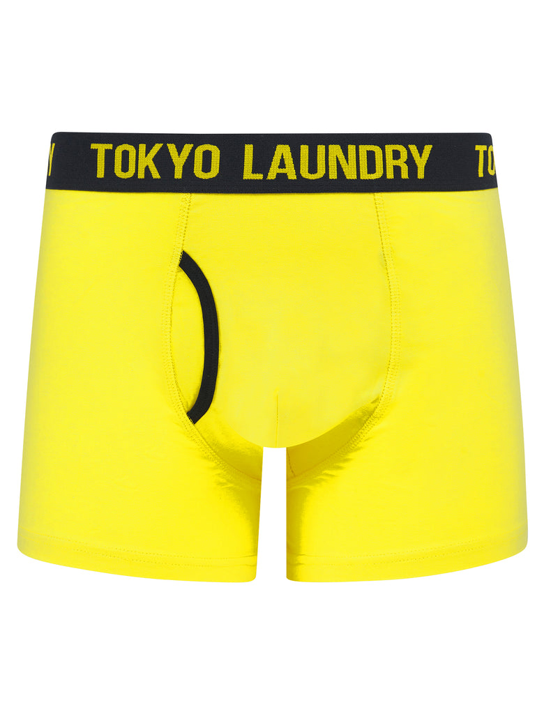 Whitehead 2 (2 Pack) Boxer Shorts Set in Blazing Yellow / Sky Captain ...