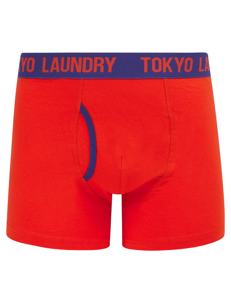 Whitehead 2 (2 Pack) Boxer Shorts Set in Cherry Tomato / Spectrum Blue ...