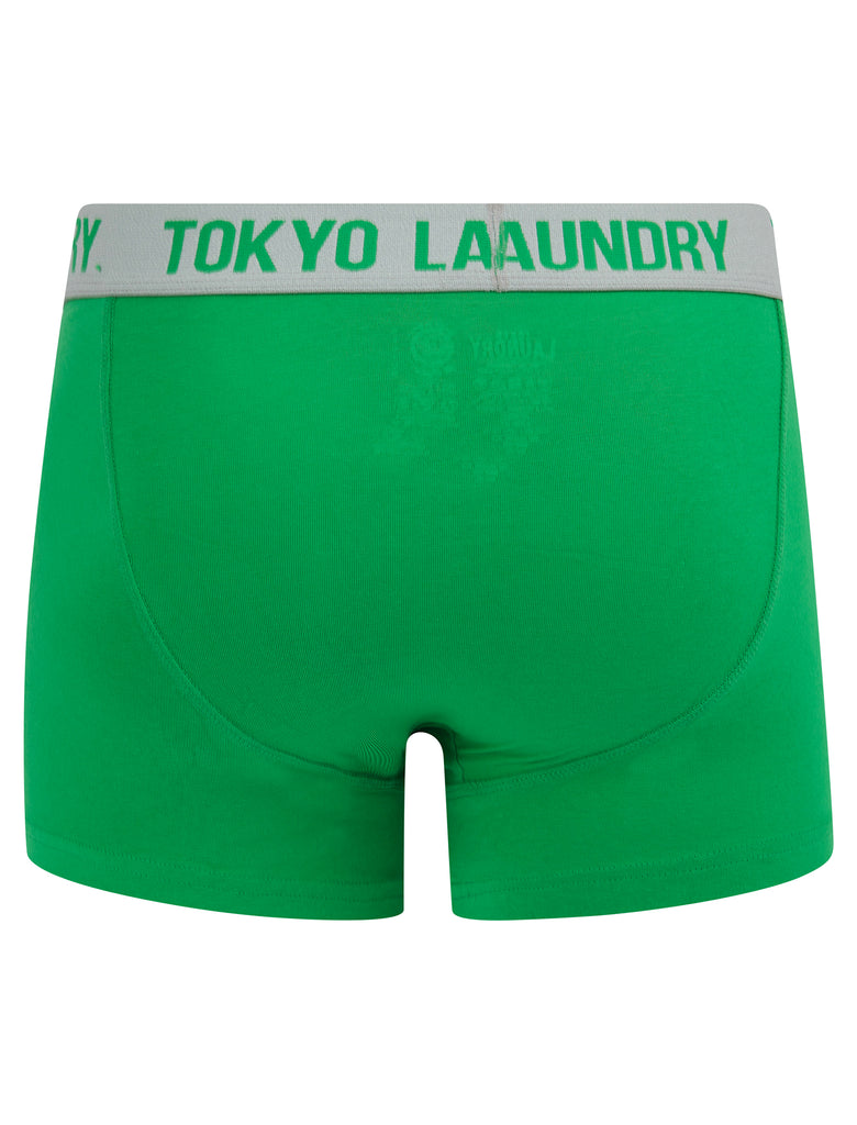 Whitehead 2 (2 Pack) Boxer Shorts Set in Green Bee / Light Grey Marl ...