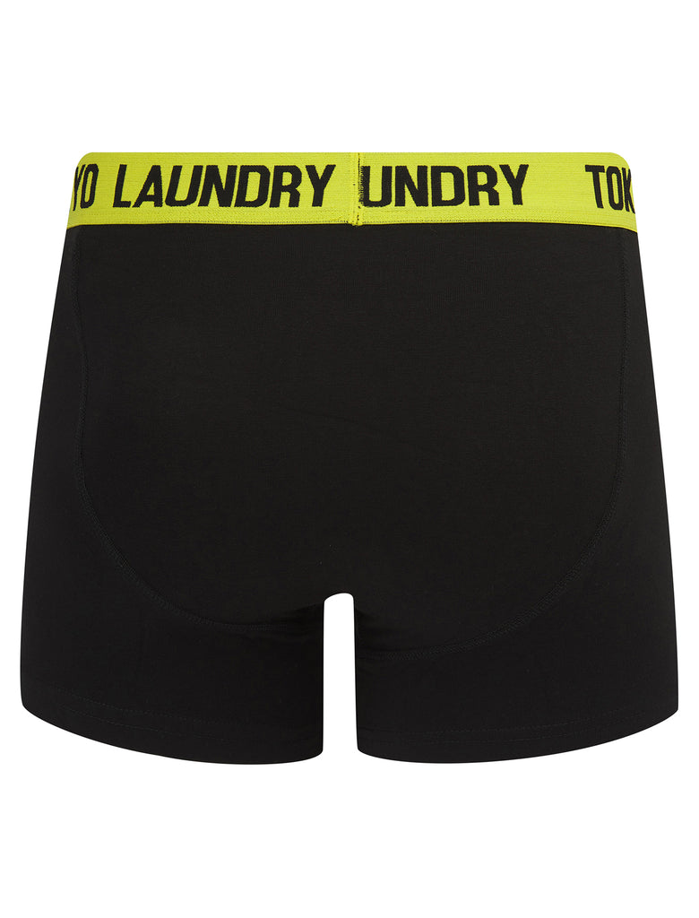 Winders 2 (2 Pack) Boxer Shorts Set in Limeade / Clear Sky - Tokyo Lau ...
