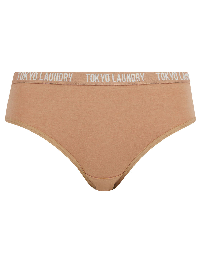 Molly Beth (3 Pack) Cotton Assorted Briefs in Tawny Brown / Egret / Gr ...