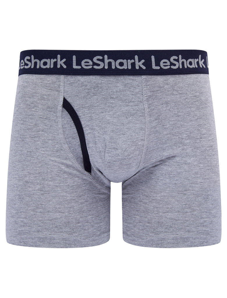 Oren (2 Pack) Striped Boxer Shorts Set in Light Grey Marl - Le Shark ...