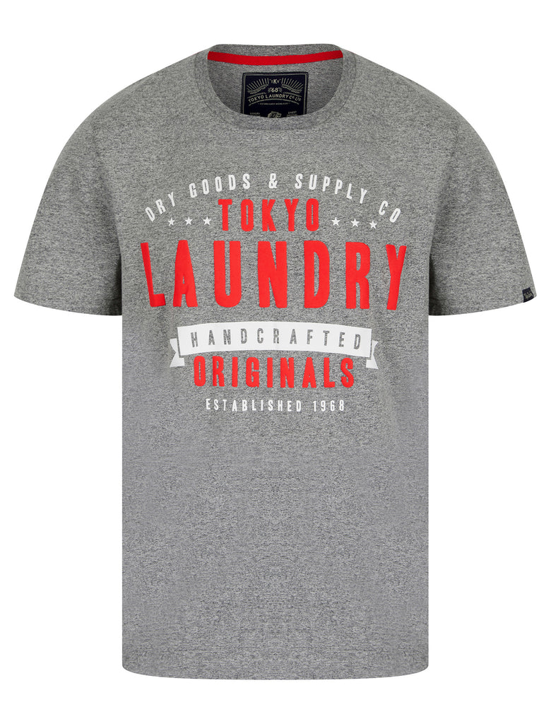 Imperium Motif Cotton Jersey Grindle T-Shirt in Light Grey - Tokyo Lau ...