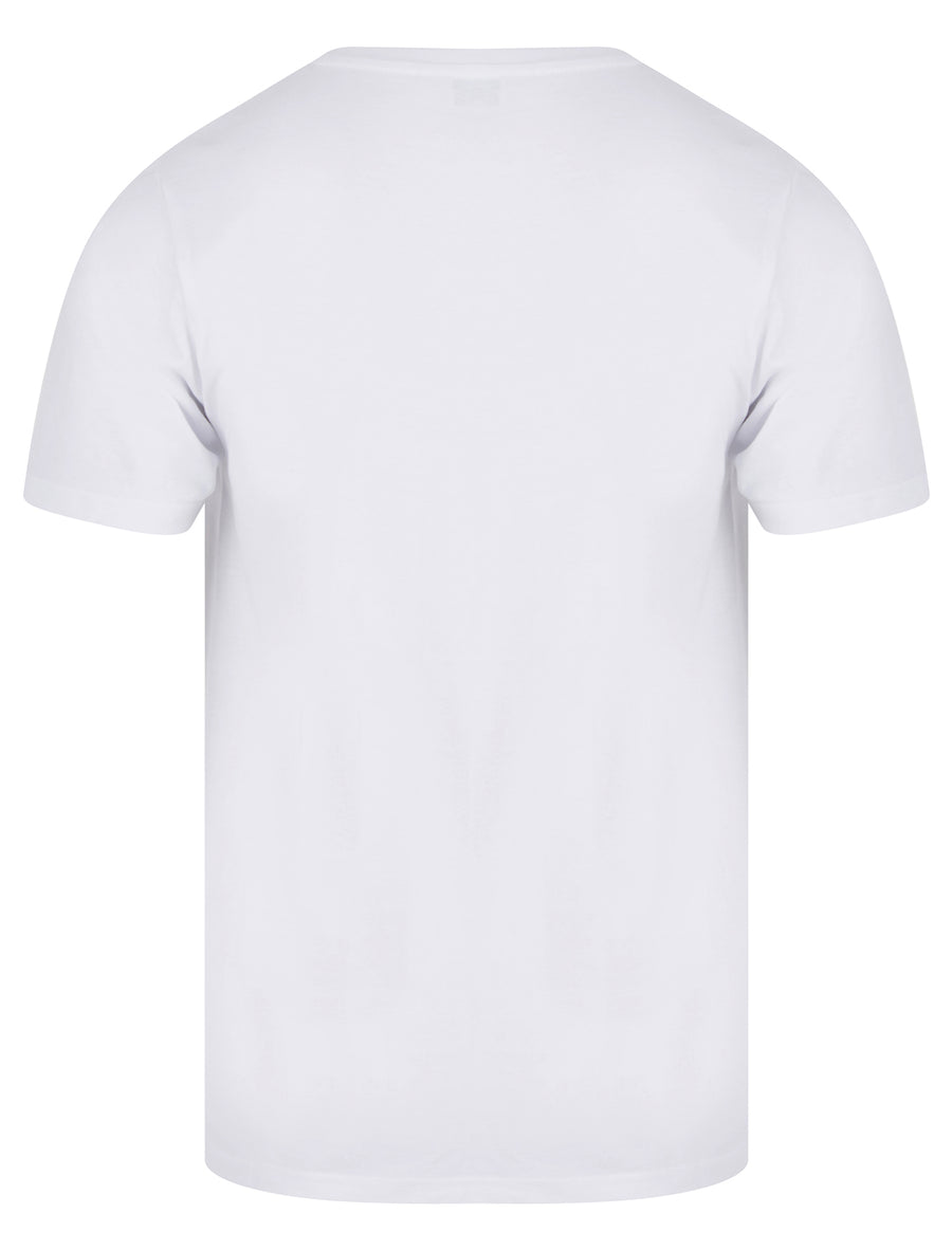 Spectre (5 Pack) Crew Neck Cotton T-Shirts in Sky Captain Navy / Barad ...