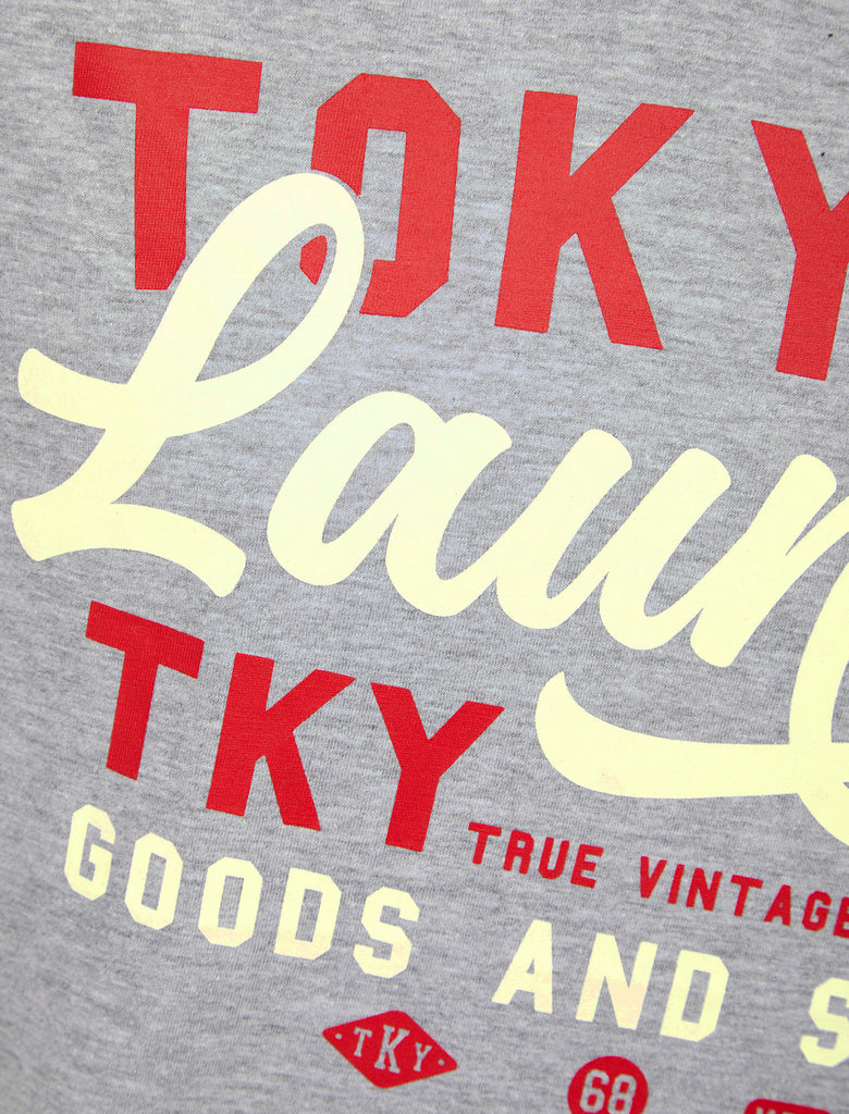 Catalyst Baseball Style Raglan Sleeve Crew Neck T-Shirt in Light Grey ...