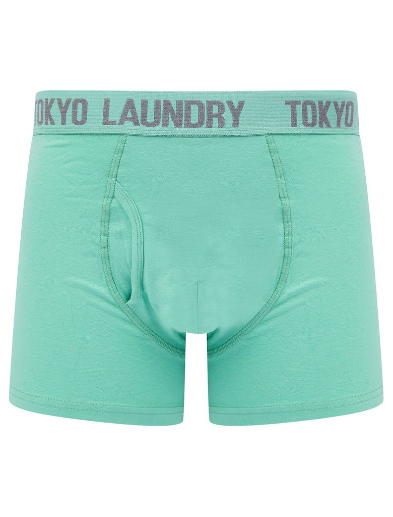 Lumber 2 (2 Pack) Boxer Shorts Set in Dusty Jade Green / Mid Grey Marl ...