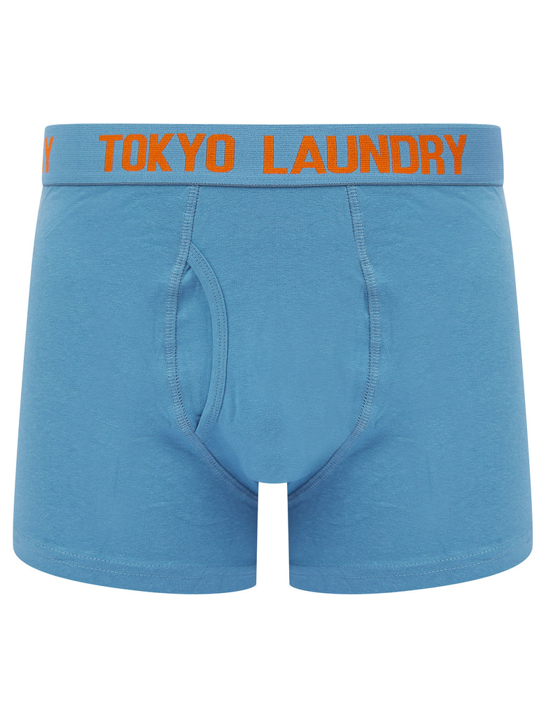 Lumber 2 (2 Pack) Boxer Shorts Set in Niagara Falls Blue / Carrot - To ...