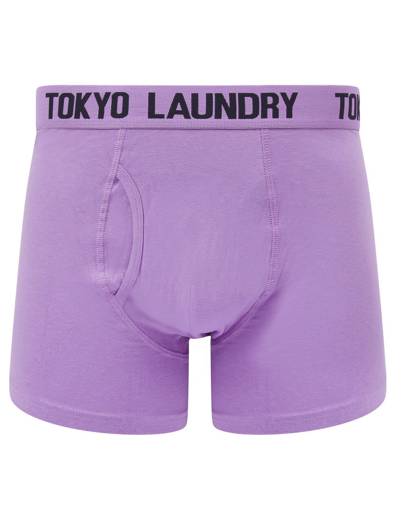 Lumber 2 (2 Pack) Boxer Shorts Set in Viola Lilac / Sky Captain Navy ...