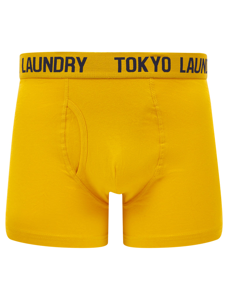 Lumber 2 (2 Pack) Boxer Shorts Set in Golden Rod / Sky Captain Navy ...