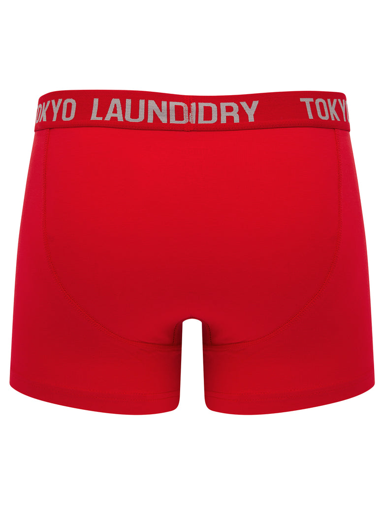 Lumber 2 (2 Pack) Boxer Shorts Set in Mars Red / Mid Grey Marl - Tokyo ...