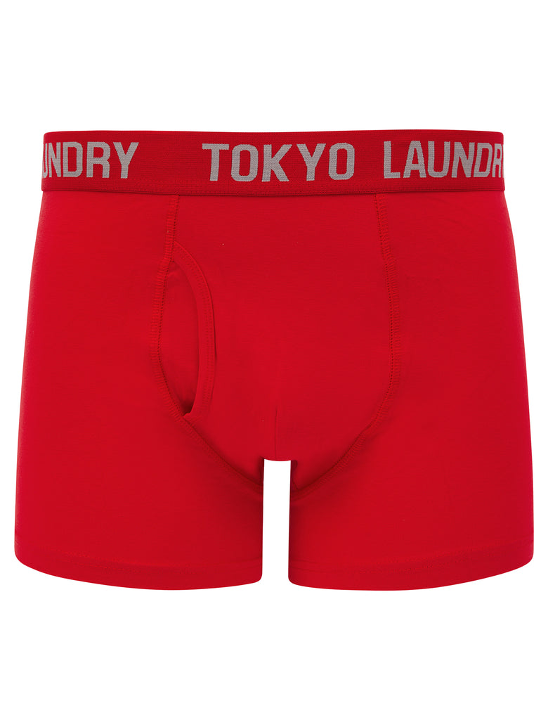 Lumber 2 (2 Pack) Boxer Shorts Set in Mars Red / Mid Grey Marl - Tokyo ...