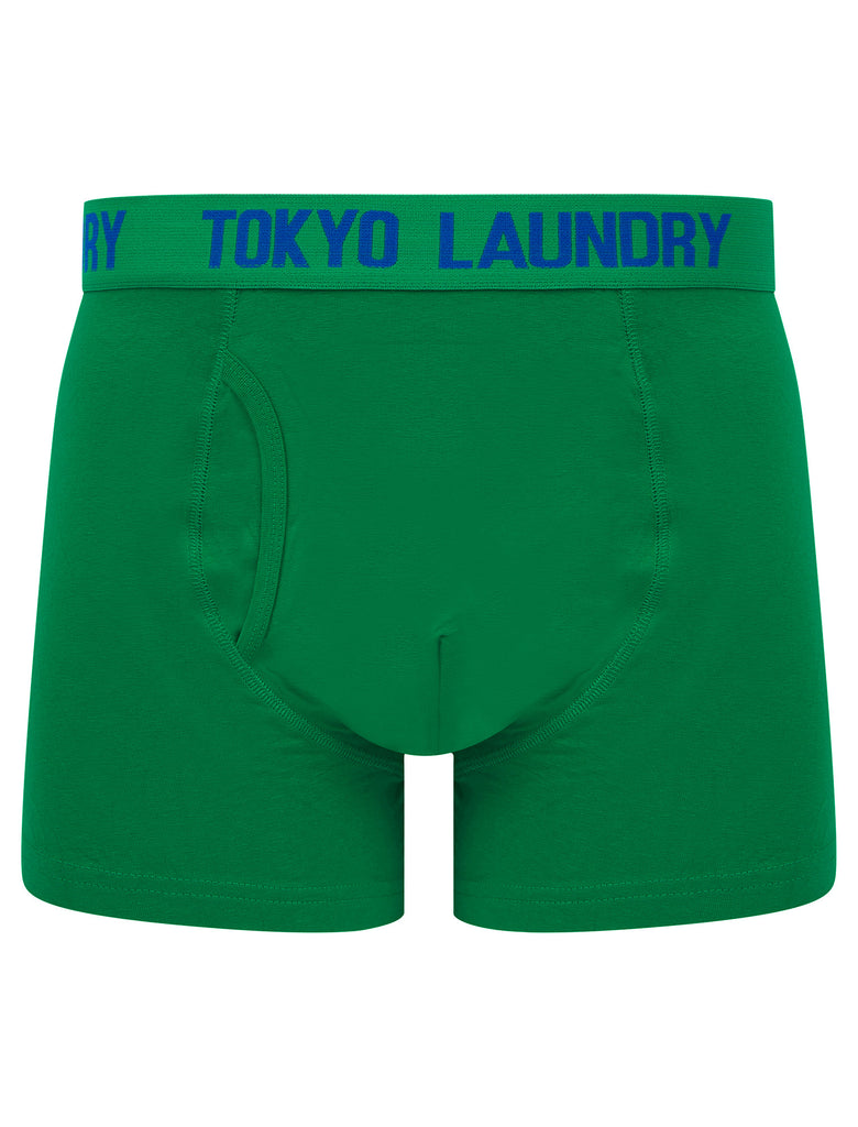 Tower 2 (2 Pack) Boxer Shorts Set in Jolly Green / Jet Blue - Tokyo La ...