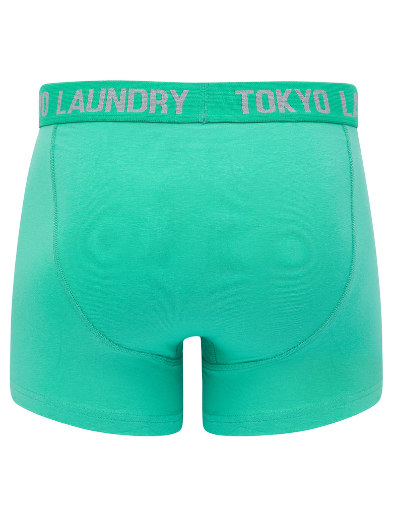 Tower 2 (2 Pack) Boxer Shorts Set in Atlantis Green / Light Grey Marl ...