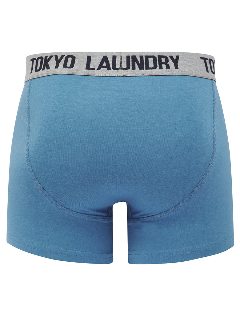 Sky (2 Pack) Boxer Shorts Set in Light Grey Marl / Hibiscus - Tokyo La ...
