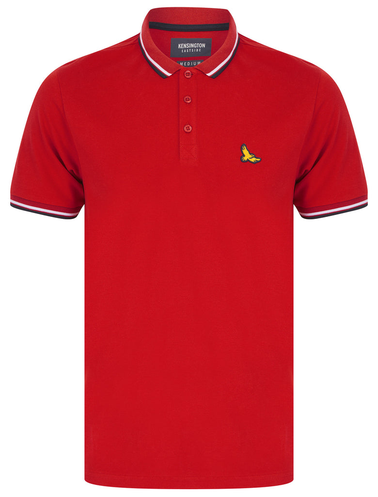 Trundle Cotton Pique Polo Shirt with Tipping in Scooter Red - Kensingt ...