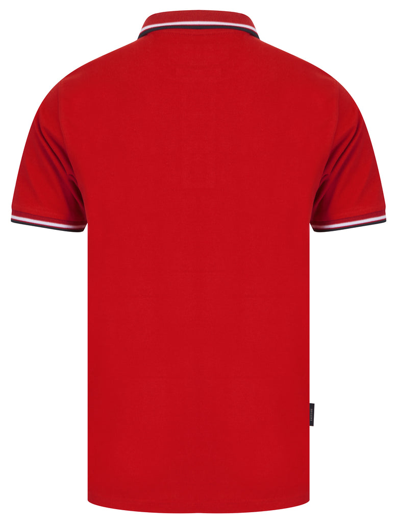Trundle Cotton Pique Polo Shirt with Tipping in Scooter Red - Kensingt ...
