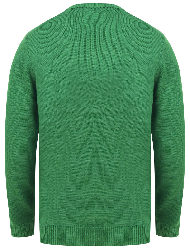 Cool Polar Bear Motif LED Light Up Novelty Christmas Jumper in Green ...