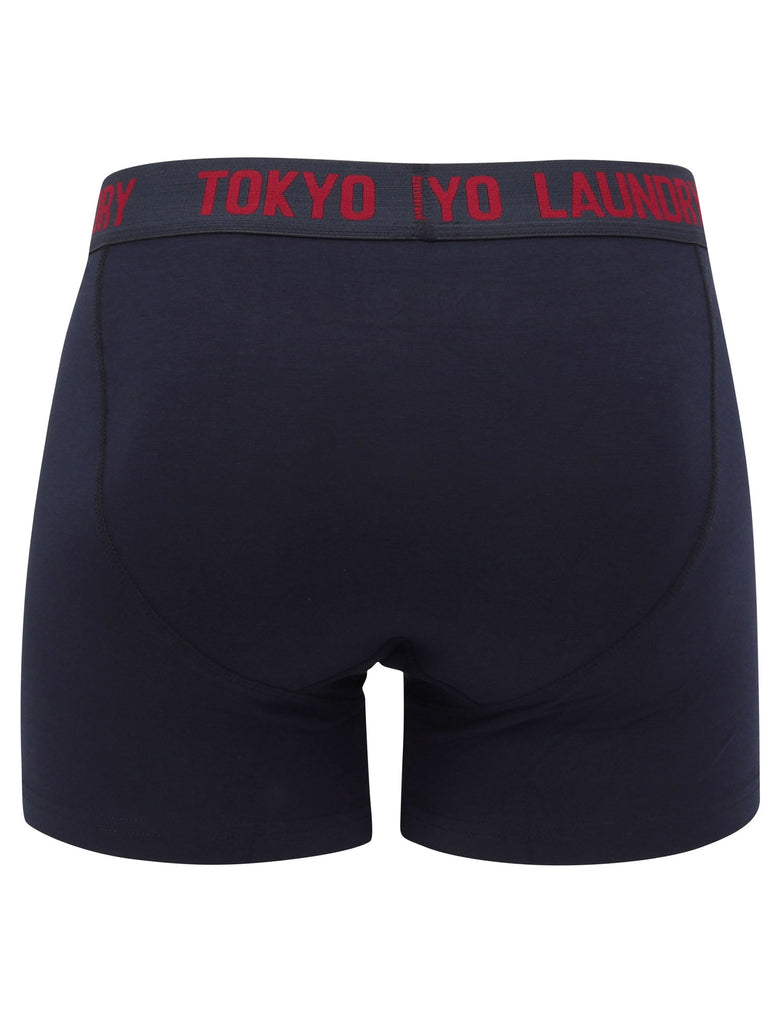 Nash 2 (2 Pack) Boxer Shorts Set in Beet Red / Mood Indigo - Tokyo Lau ...